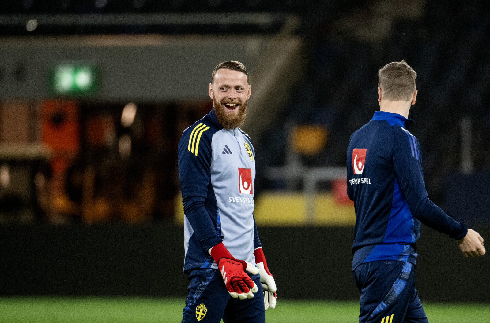 Sweden's National Team Faces Northern Ireland with New Lineup Changes ...