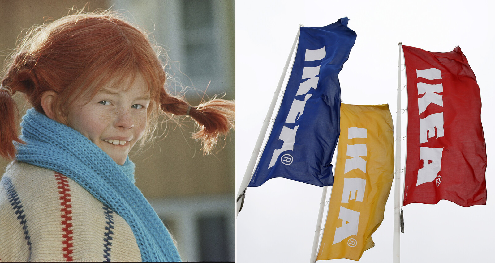 What Swedish Students Should Learn: Pippi, Ikea, and the Cultural Canon ...