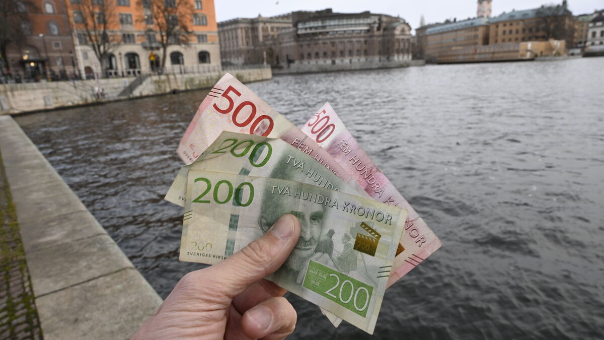 Sweden's national debt grew, but became cheaper | Sweden Herald