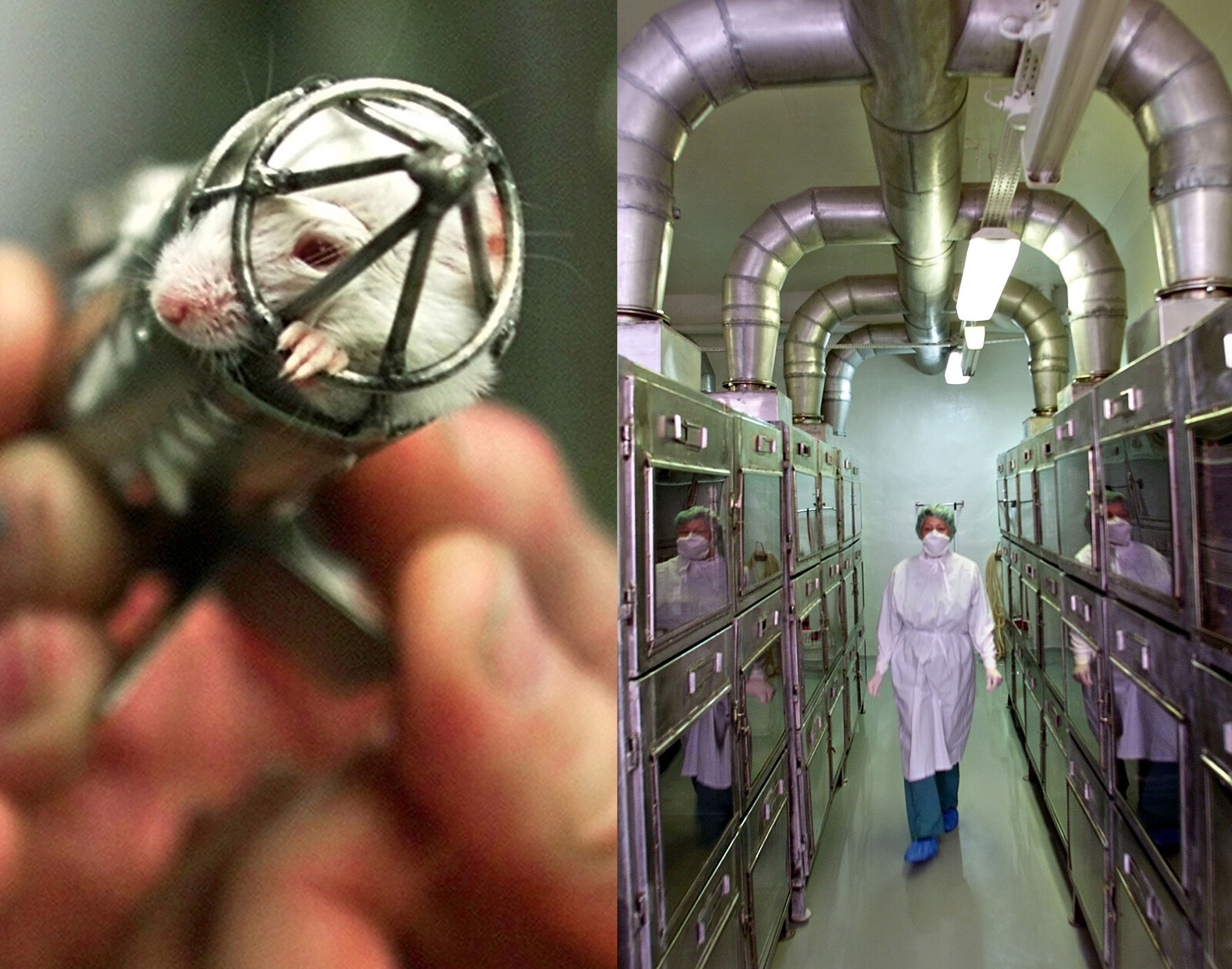 Mission: Here grows Putin's top-secret bioweapon lab | Sweden Herald