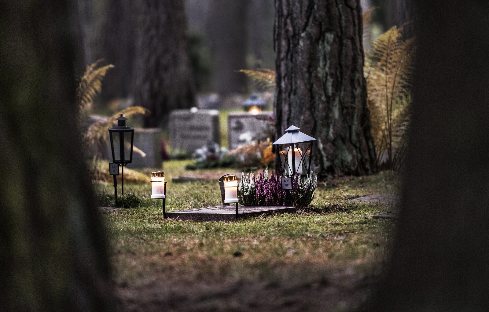 Unknown Skeleton at School Laid to Rest | Sweden Herald