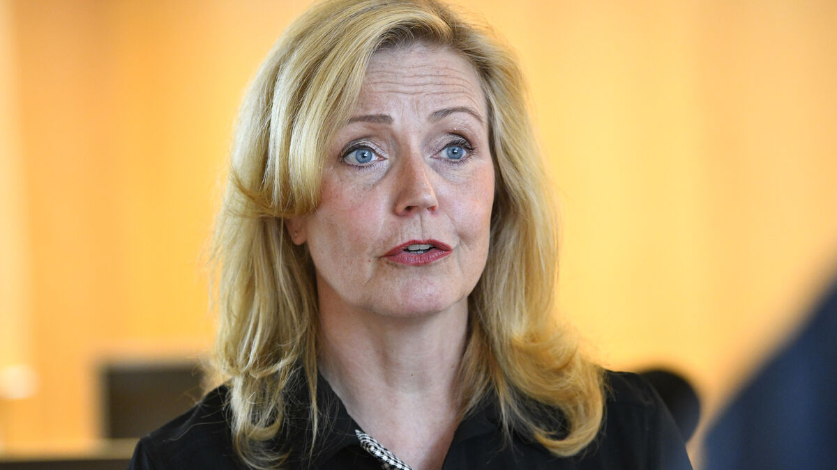 Cuf wants to see Thand Ringqvist as party leader | Sweden Herald