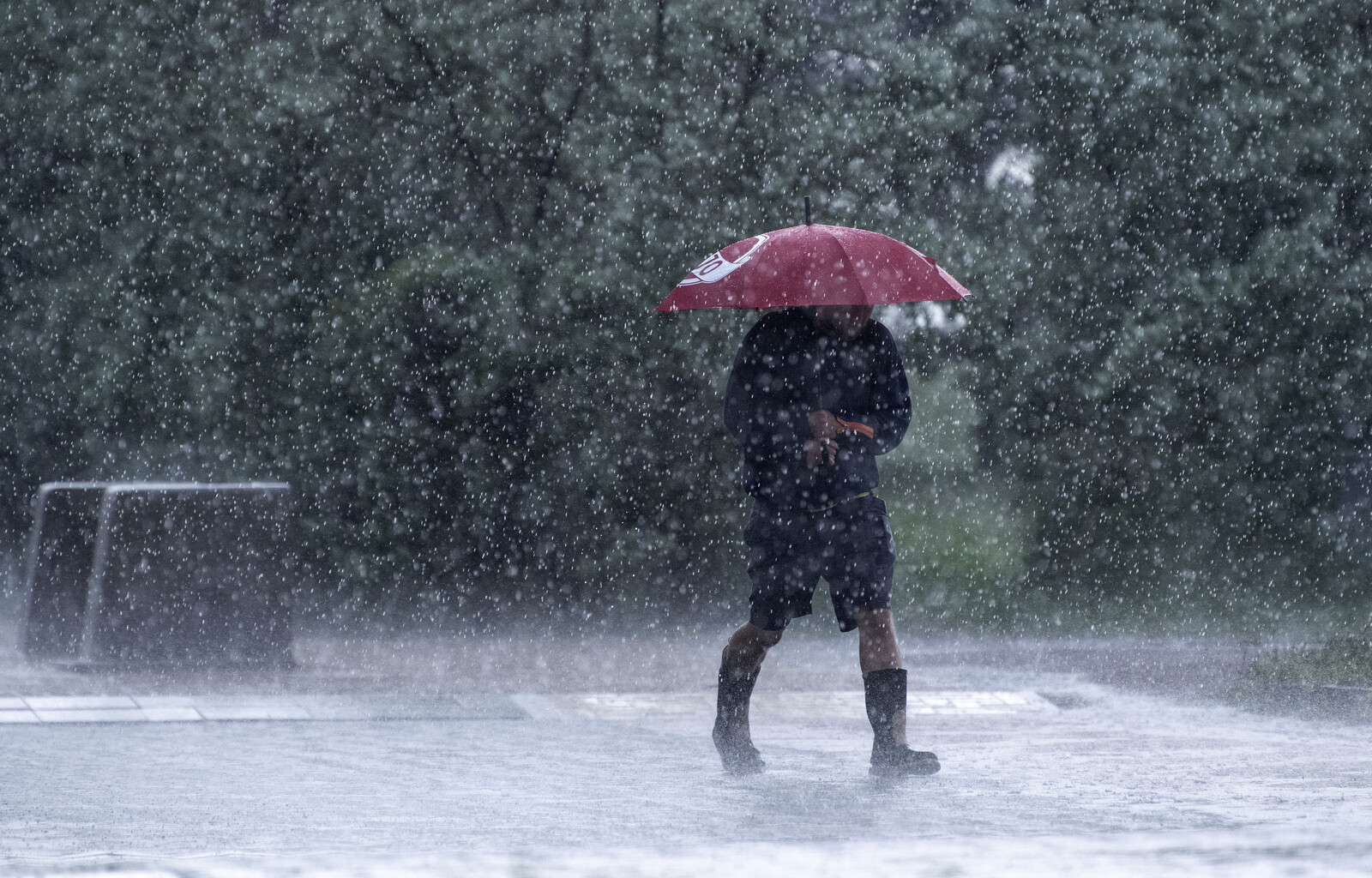 SMHI Issues Warnings for Heavy Rain and Thunderstorms in Northern ...