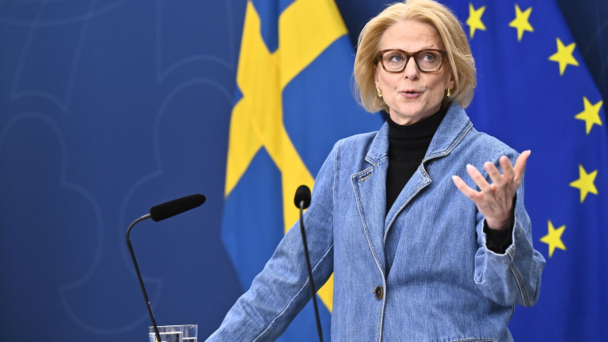 Svantesson says the money for new reforms has run out | Sweden Herald