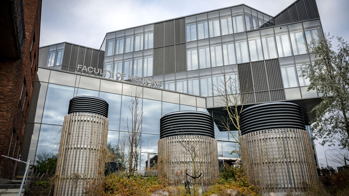 Lund University ranked highest in the Nordic region in QS rankings ...