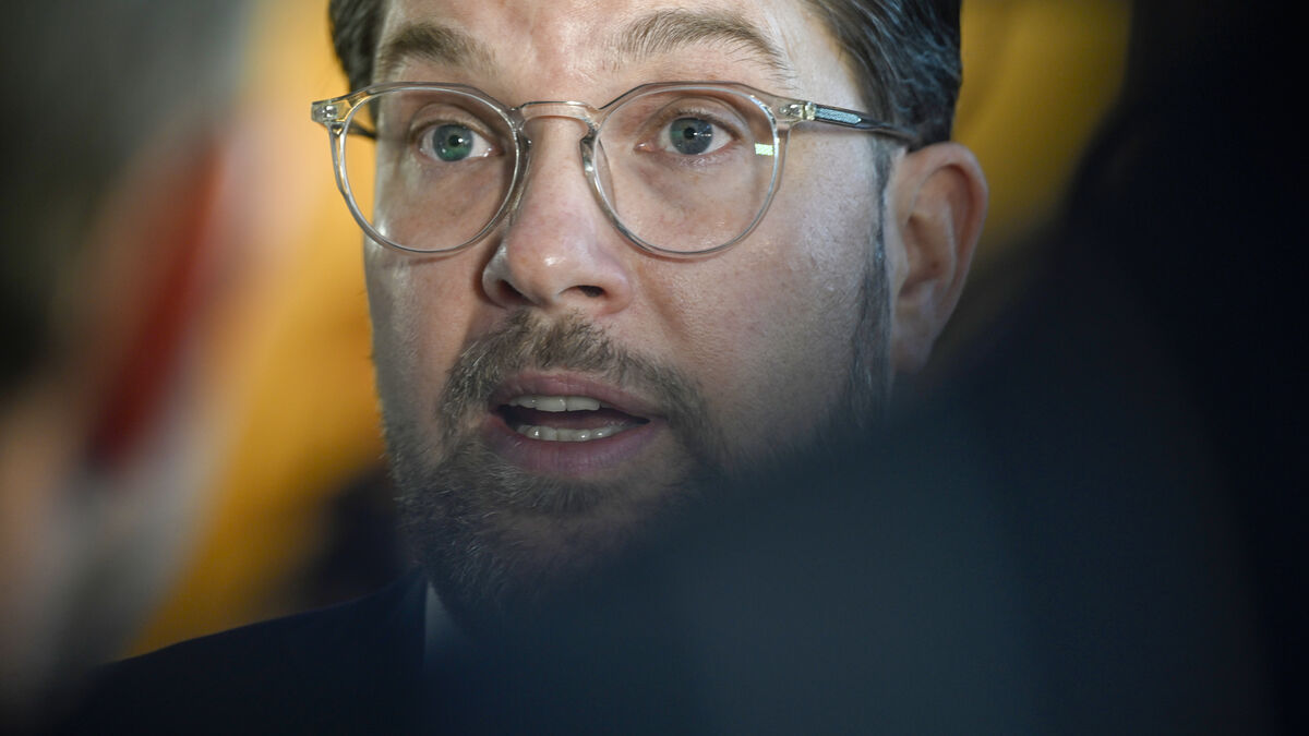 Åkesson Calls for Tomasson's Resignation After World Cup Qualifying ...