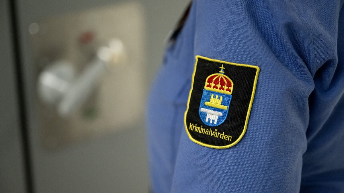 Convicted sex offenders placed in children's facilities in Sweden ...