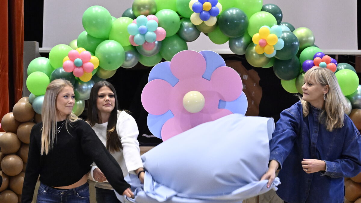 This year's May flower is Happy Colors | Sweden Herald