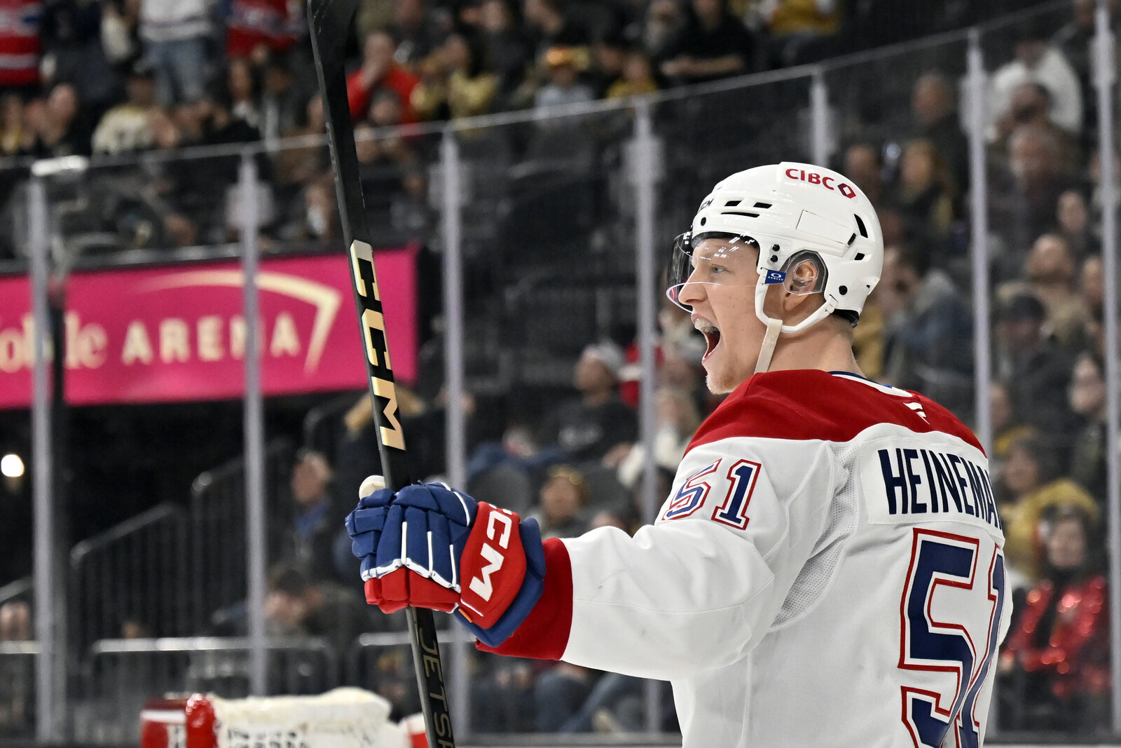 NHL Swede injured in traffic accident | Sweden Herald