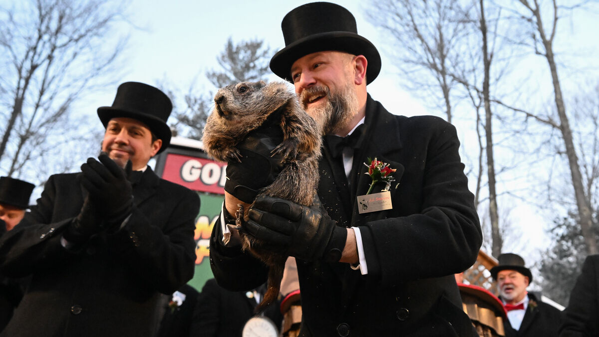 Groundhog Phil predicts another six weeks of winter | Sweden Herald