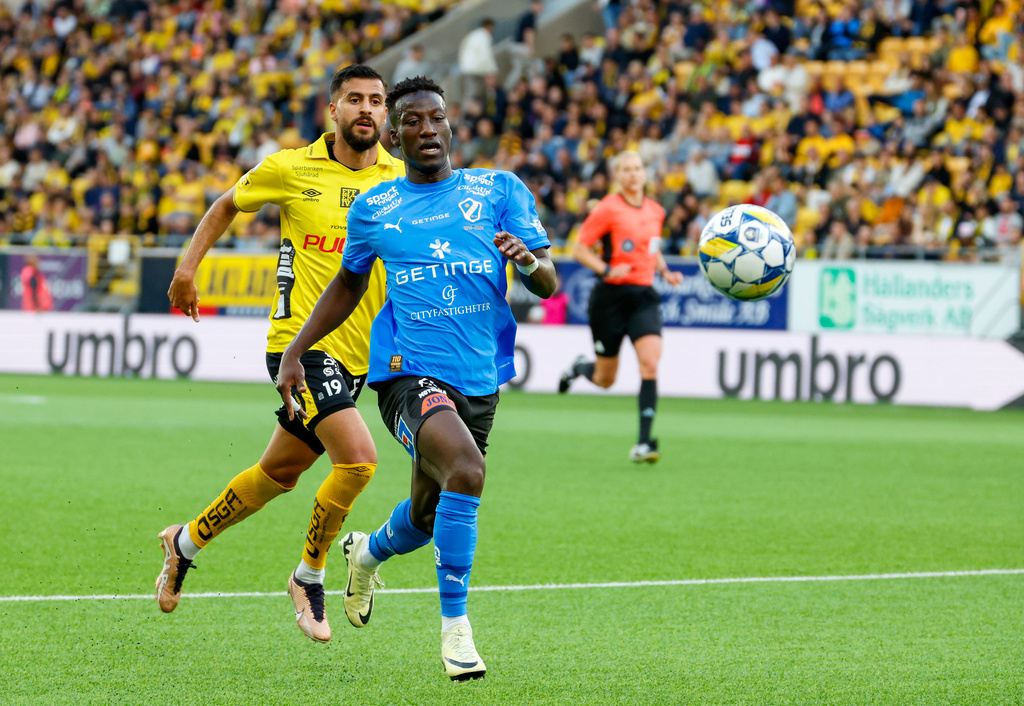 HBK Star Sidelined with Knee Injury – Season Over | Sweden Herald