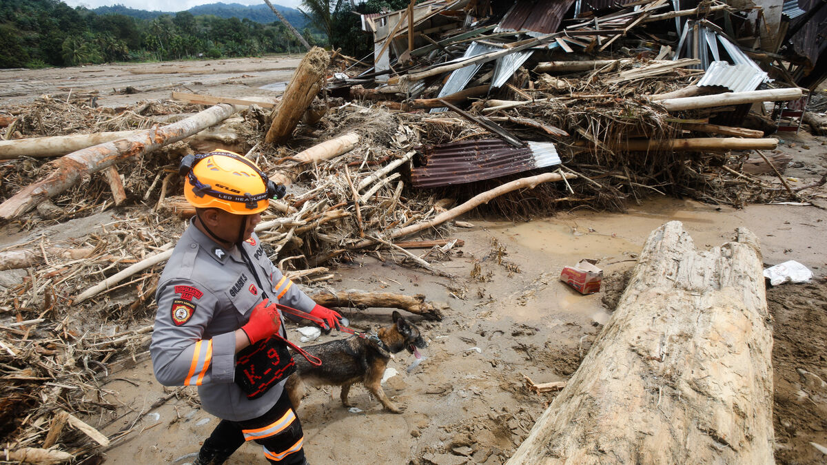 Frustration grows over slow disaster response | Sweden Herald