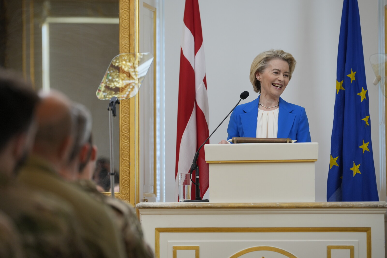 The EU base in Denmark: "Standing up" for Greenland | Sweden Herald