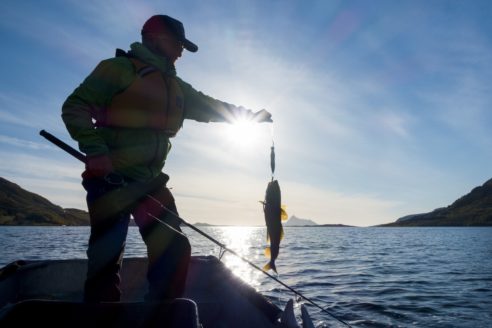 Sweden Launches Database for Reporting Sick Fish | Sweden Herald