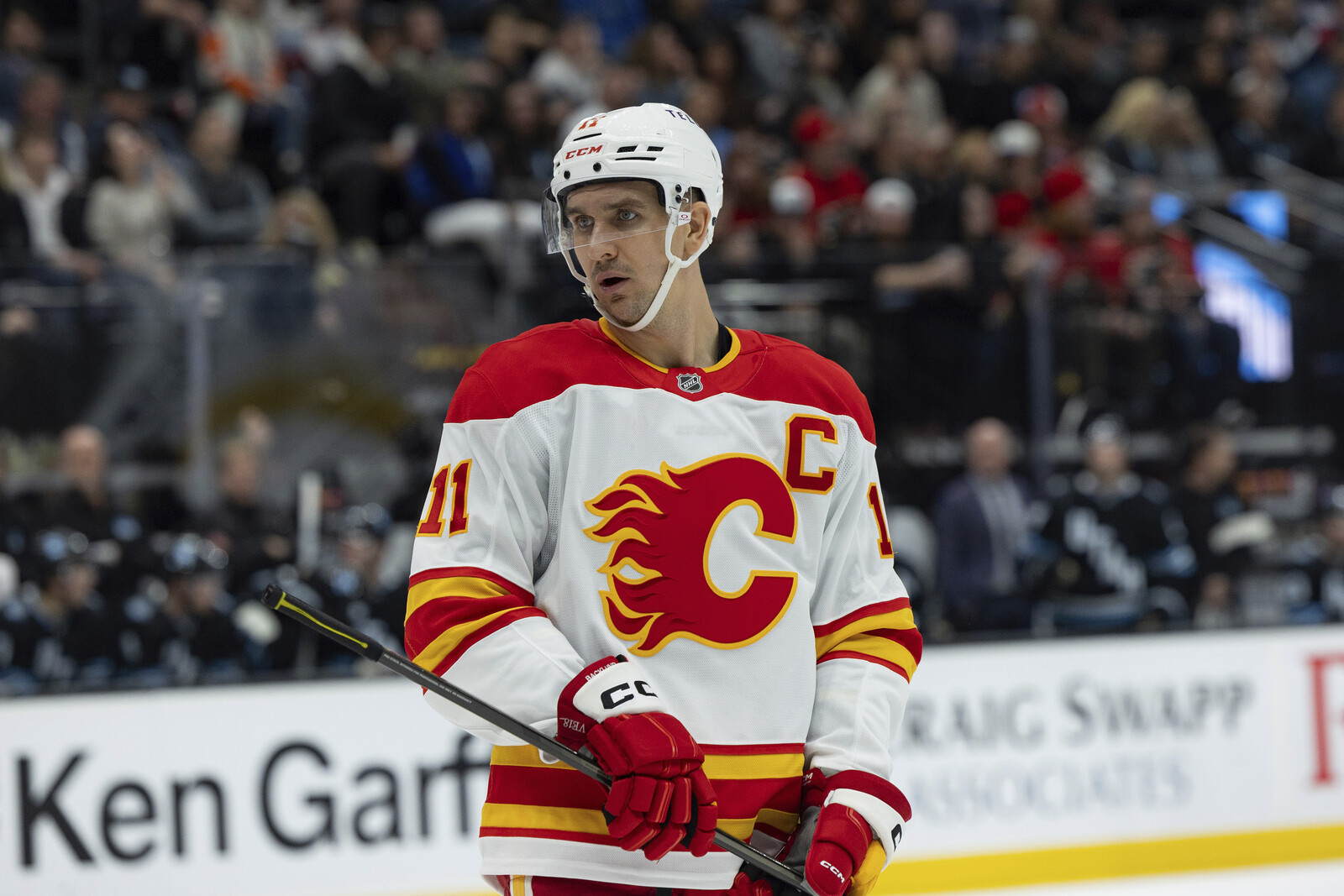 Swedish point collector in Calgary's win | Sweden Herald