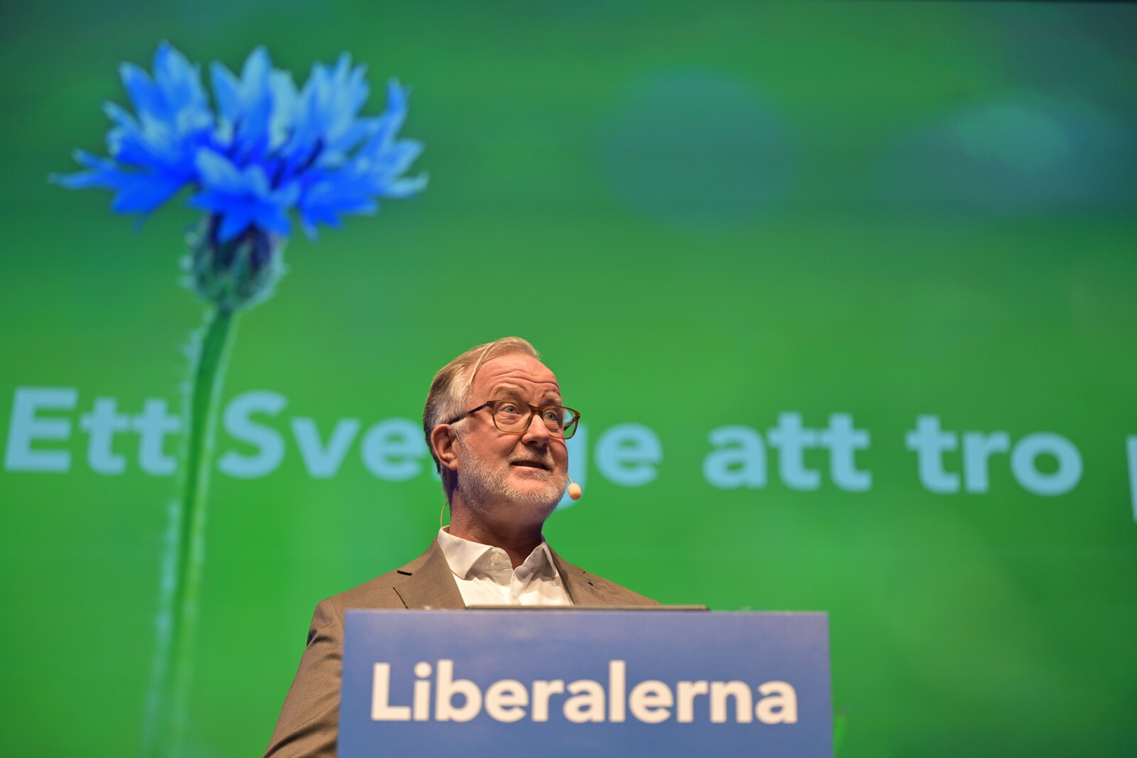 Liberals Push for Stronger State in New Vision Program | Sweden Herald