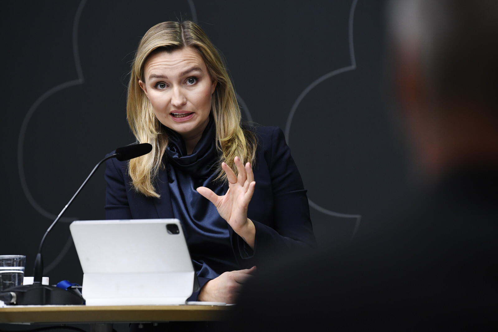 Busch: Review the Right to Vote for Immigrants | Sweden Herald