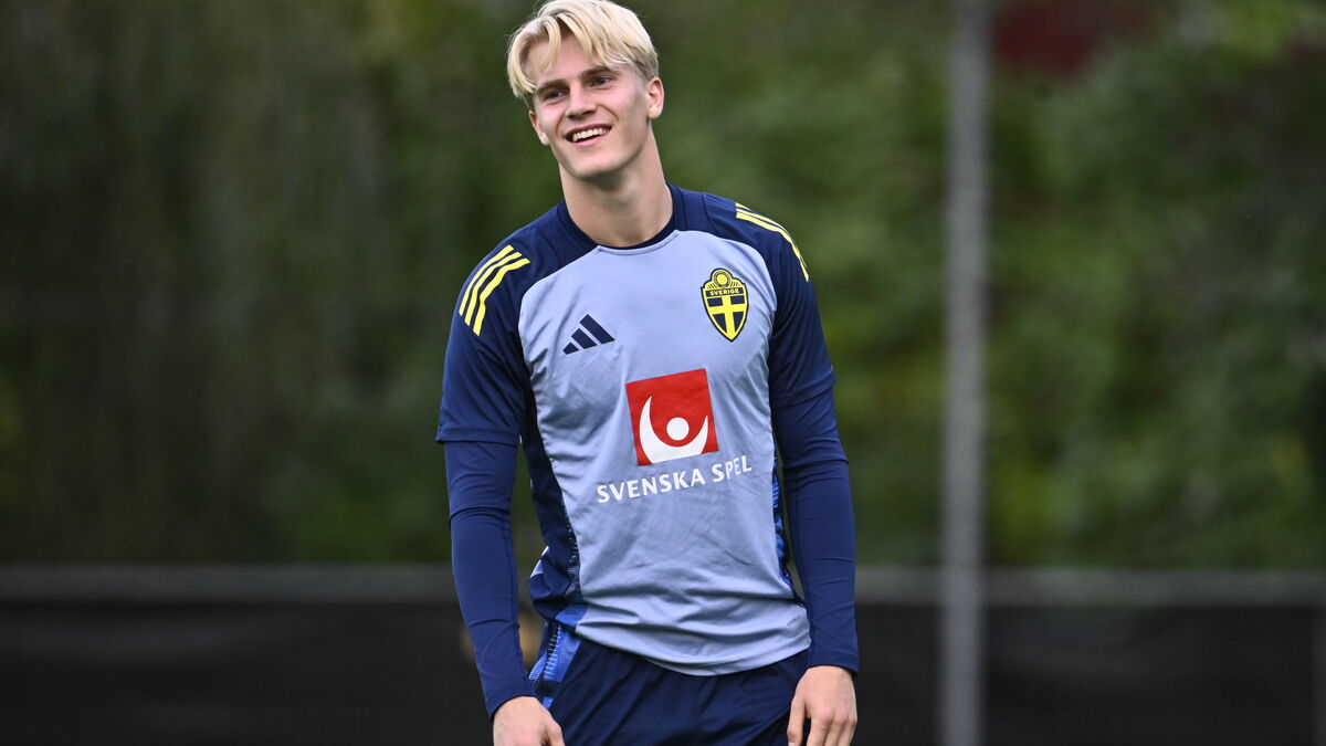 Sweden Revamps Lineup for Crucial World Cup Qualifier Against ...