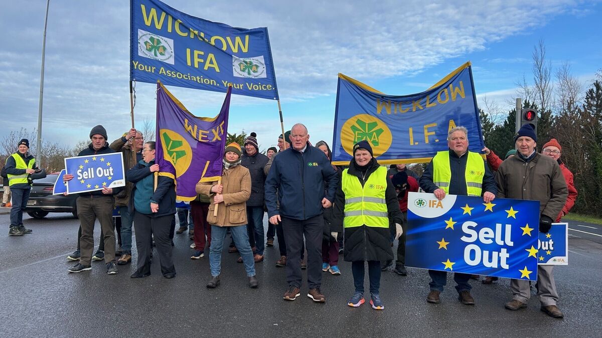 Thousands of Irish farmers protest EU-Mercosur trade agreement | Sweden ...
