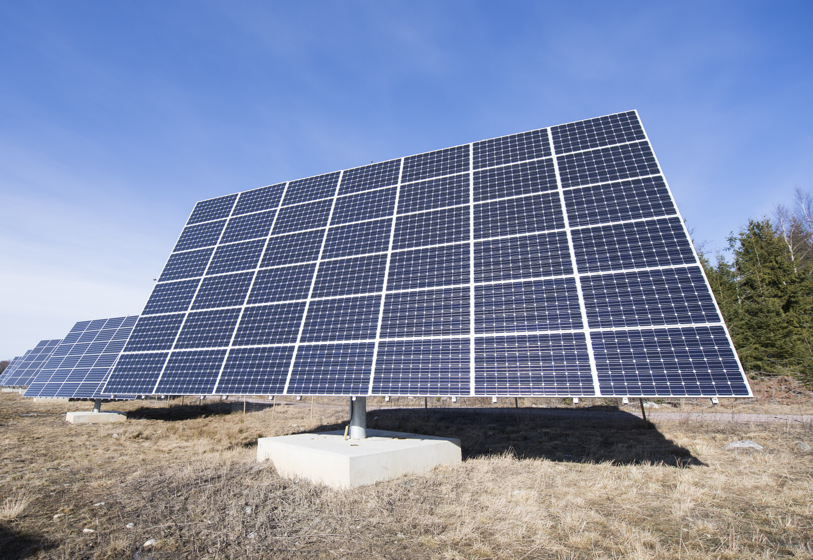 Solar parks on the rise – despite low electricity prices | Sweden Herald