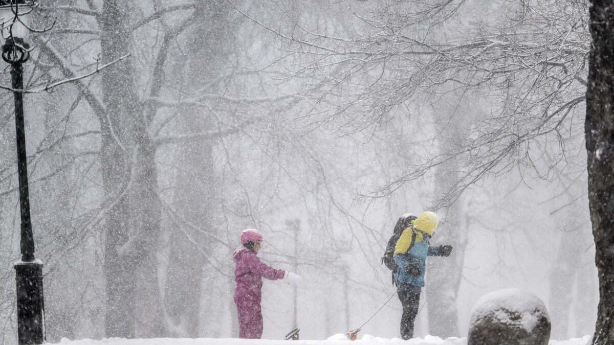 SMHI issues new warning - more snow expected | Sweden Herald