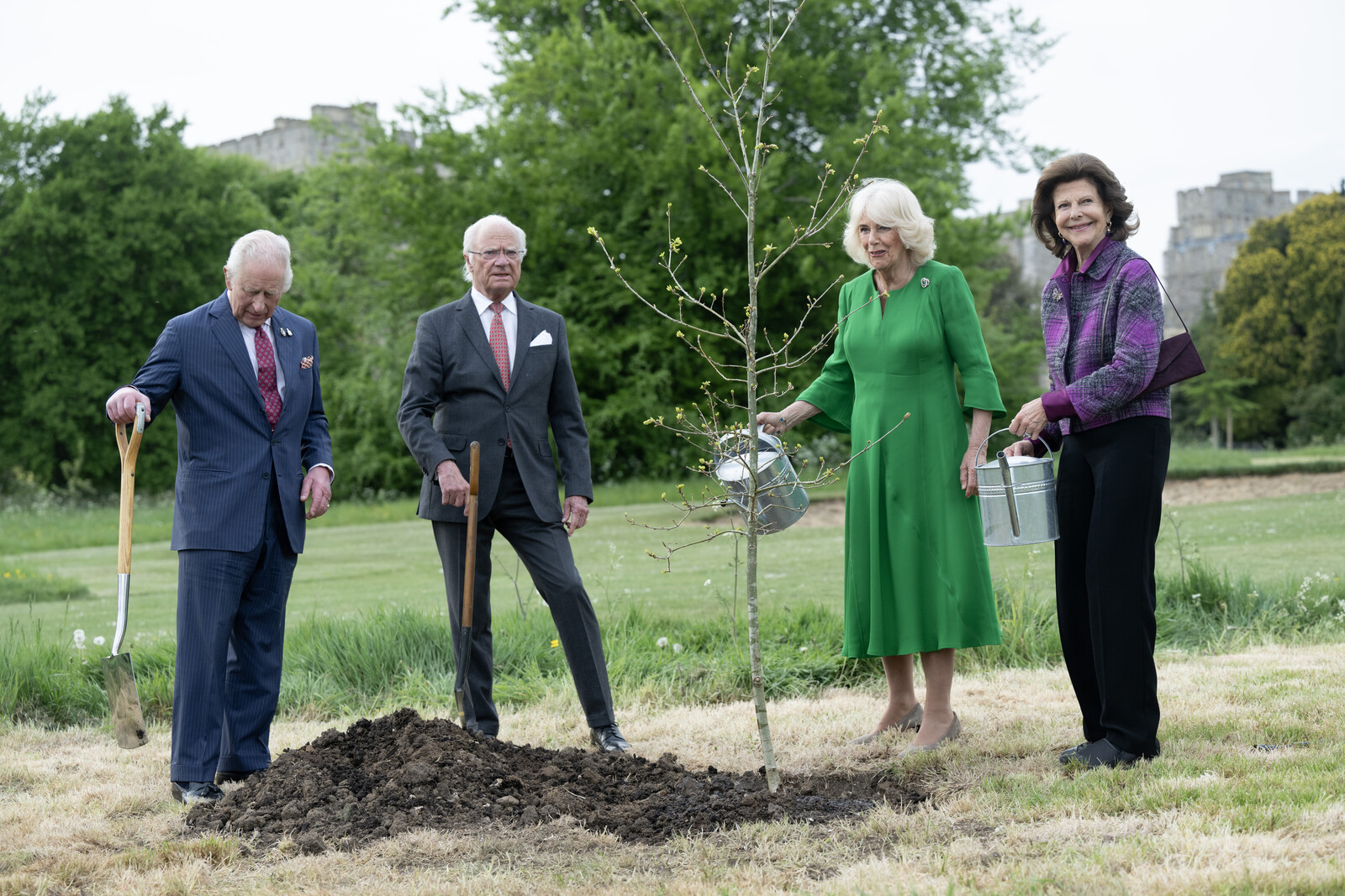 King Carl XVI Gustaf Gifts Oak Tree to King Charles at Windsor Castle ...