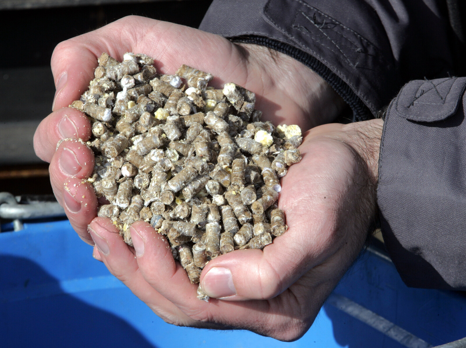 Recycled Plastic Pellets Found to Contain Toxic Chemical Mixtures ...