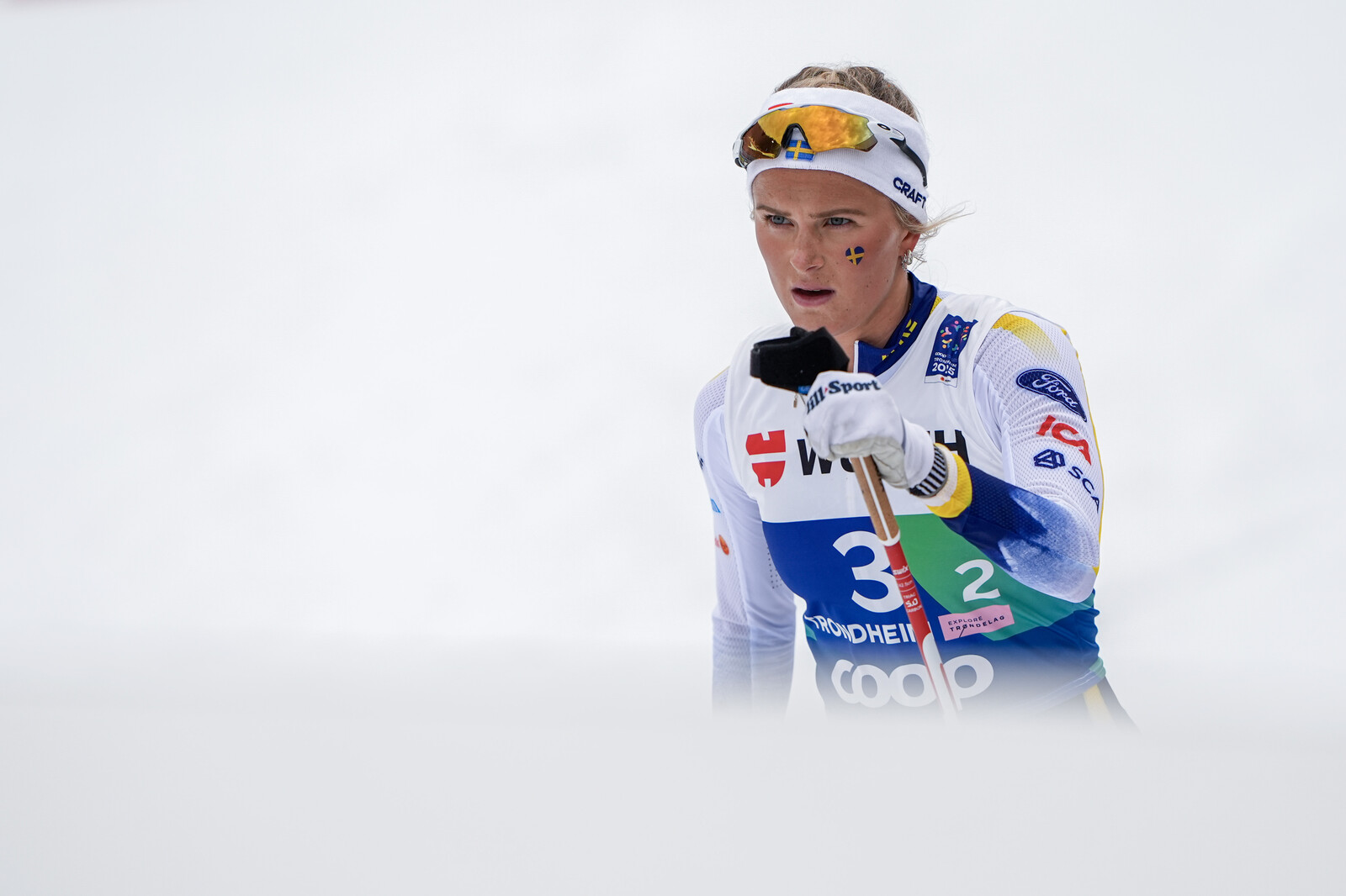 Prosecutor Seeks Jail Time for Frida Karlsson's Alleged Stalker ...