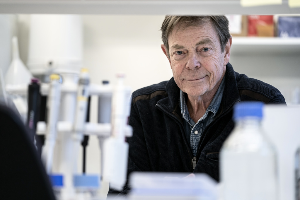 Researchers: Unique that children died despite TBE vaccine | Sweden Herald