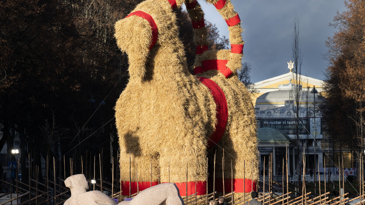 The Gävle goat doesn't measure up | Sweden Herald