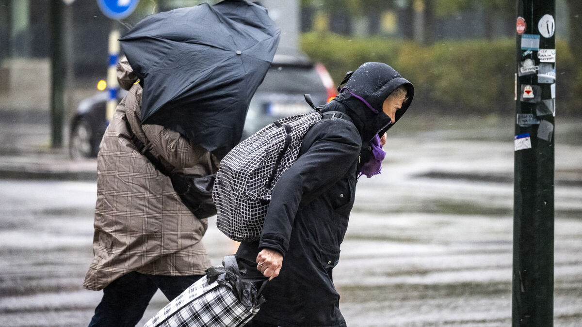 Autumn storm approaching – yellow warning for rain | Sweden Herald