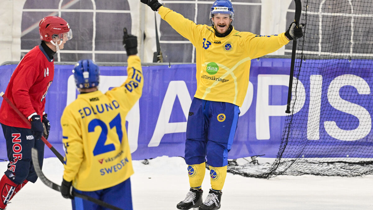 Sweden reach bandy World Cup final after 8–2 semi-final win over Norway ...