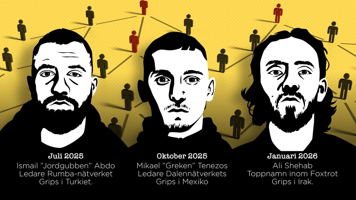 This is how the arrests affect Swedish criminal gangs | Sweden Herald