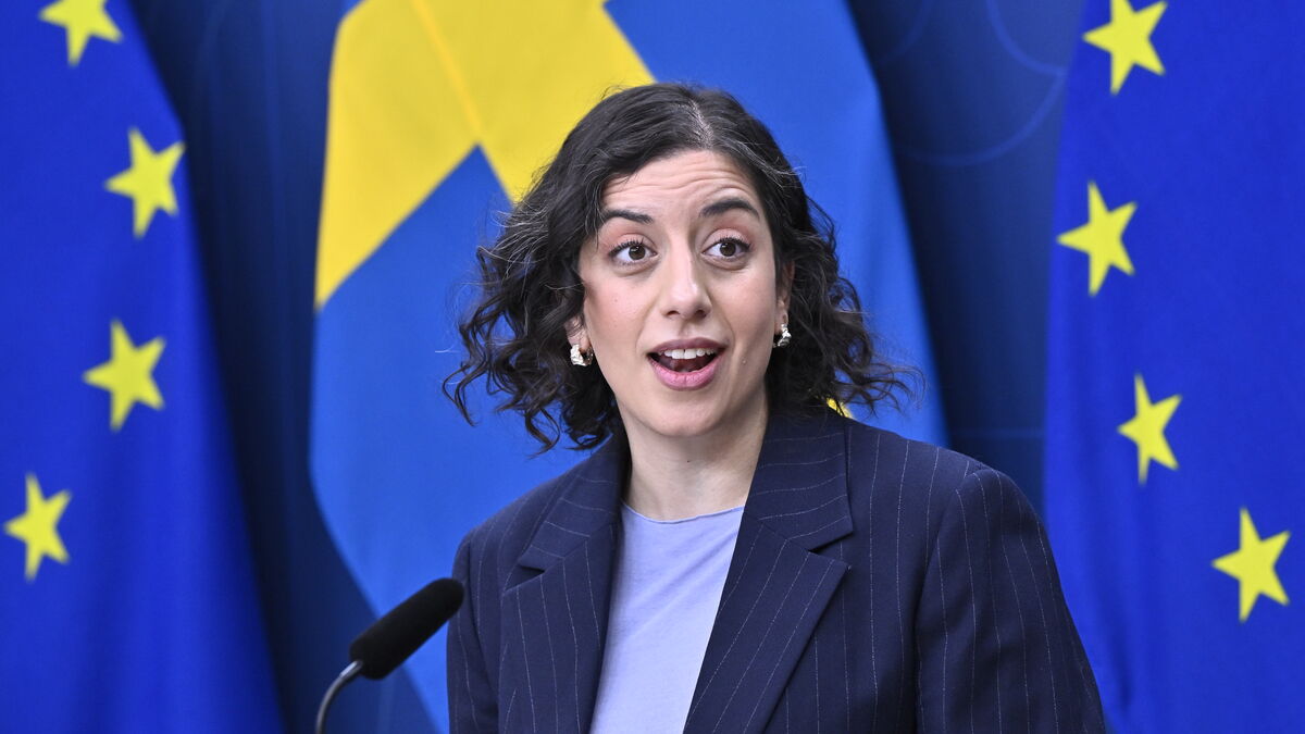 Government adopts five-year plan to increase reading skills | Sweden Herald