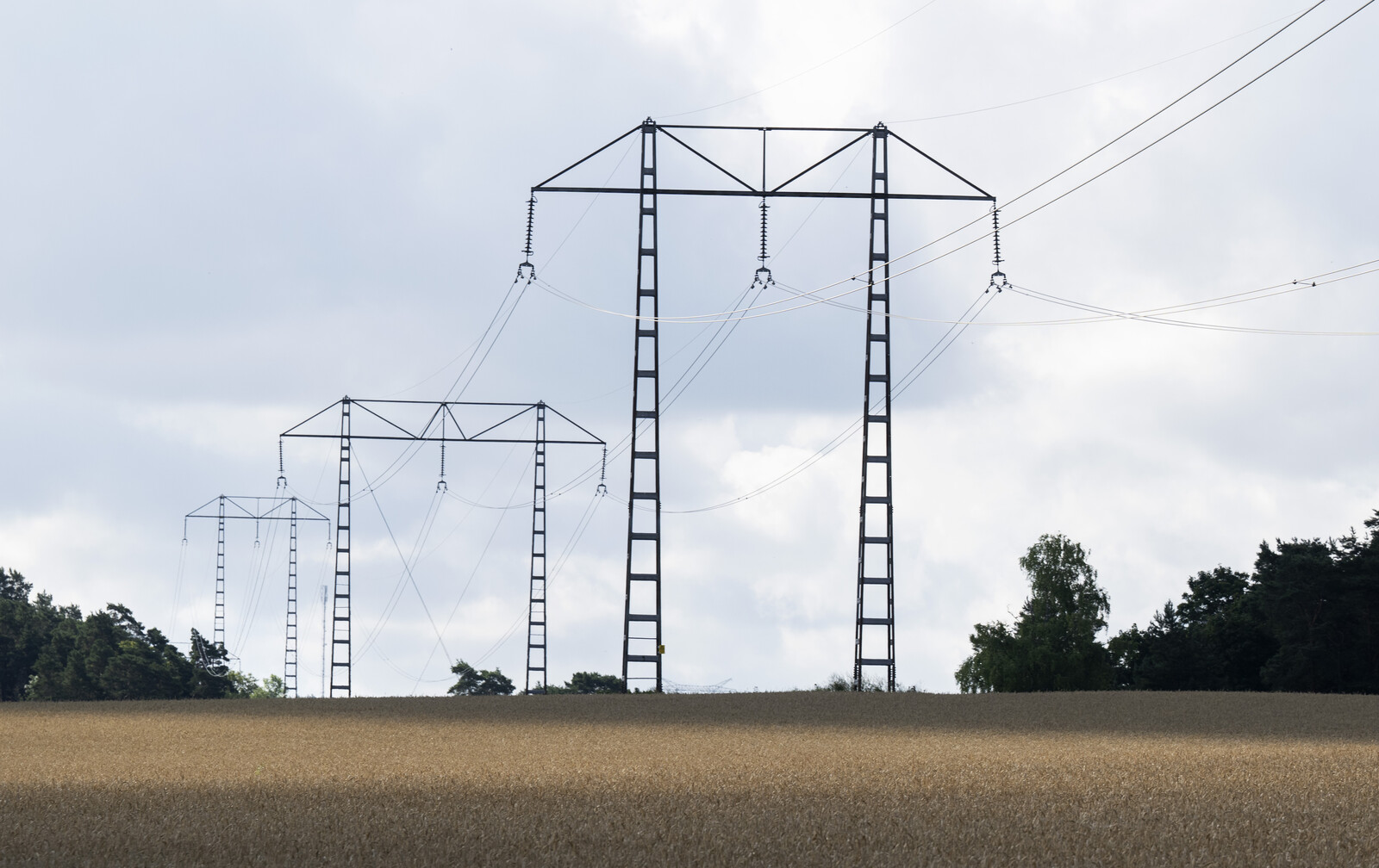 Pause model that makes electricity prices more expensive | Sweden Herald