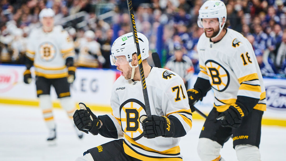 Many Swedish points in the NHL goal celebration | Sweden Herald