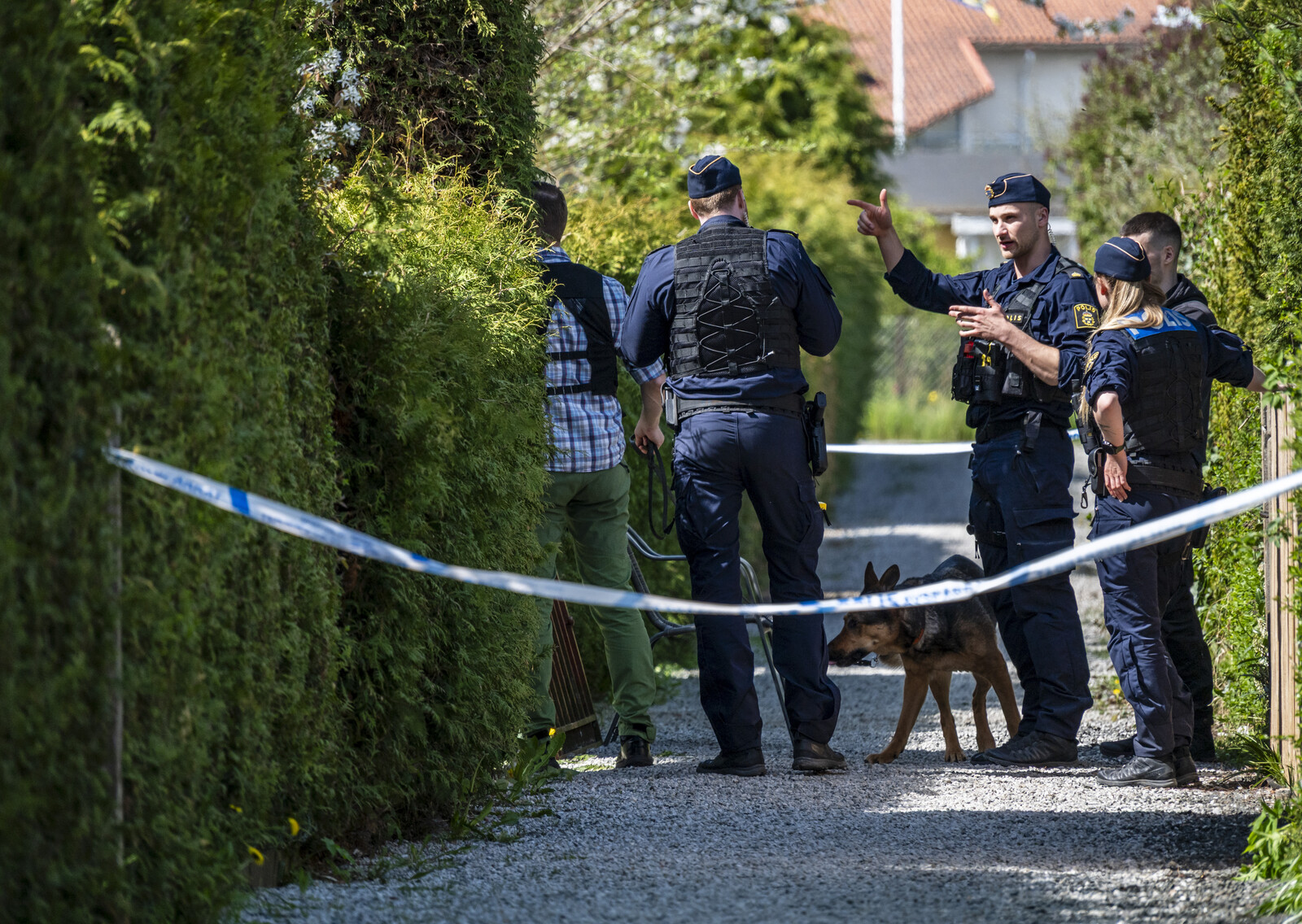 Bomb Squad Neutralizes Live Object Found in Malmö Colony Area | Sweden ...