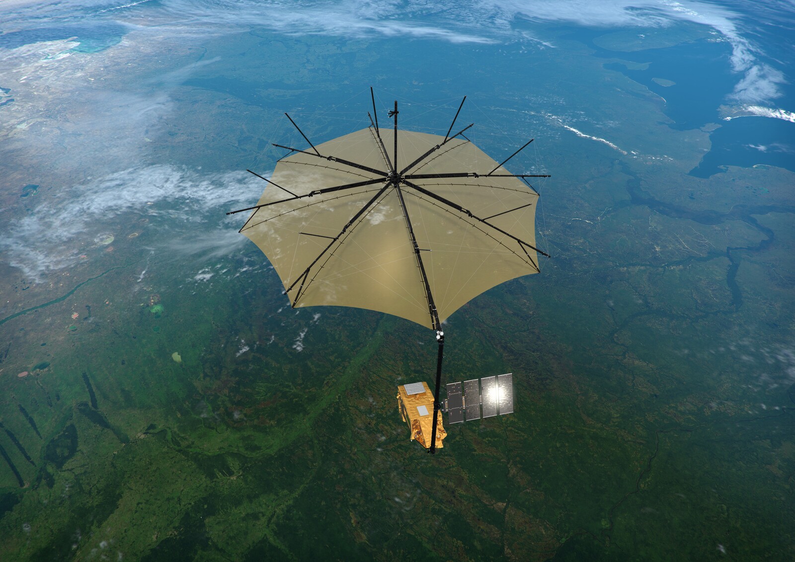 Satellites to Measure Global Forest Biomass from Space | Sweden Herald