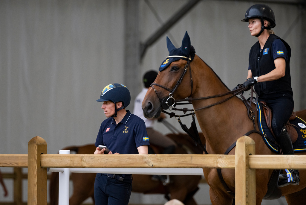 Reserve Malin Baryard Johnsson Remains Behind the Fence | Sweden Herald