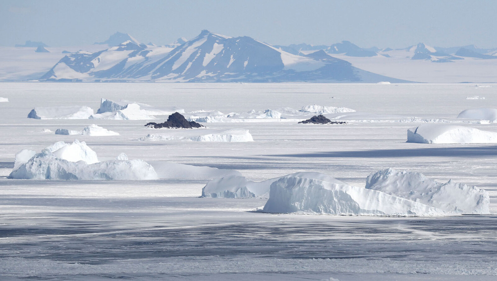 Defied the cold on Antarctica – won the ultramarathon | Sweden Herald