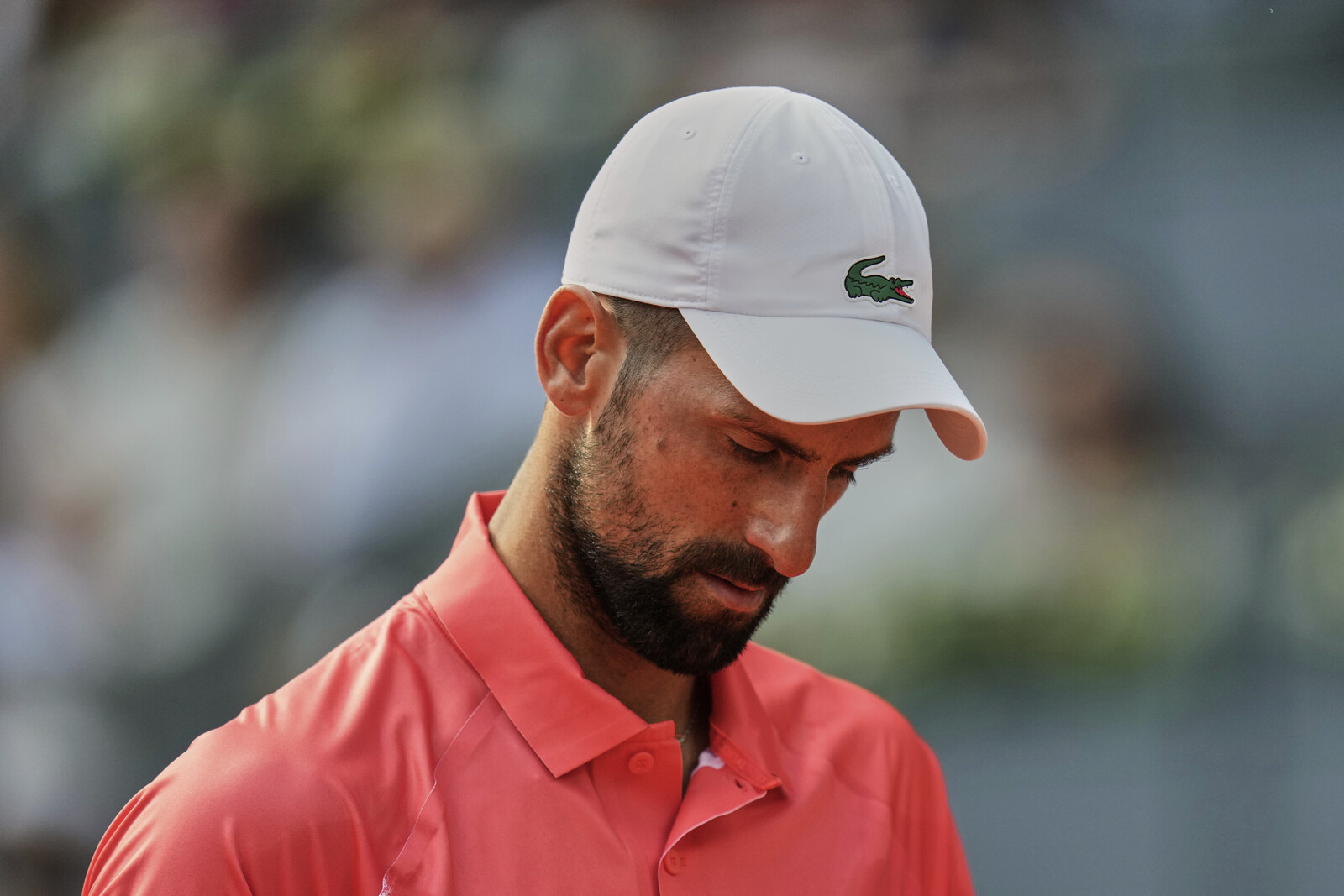 Novak Djokovic Parts Ways with Coach Andy Murray Before French Open | Sweden Herald