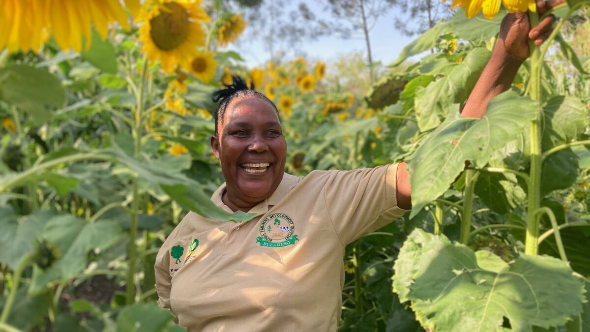 Trees protect Winfrida's farm from changing weather | Sweden Herald