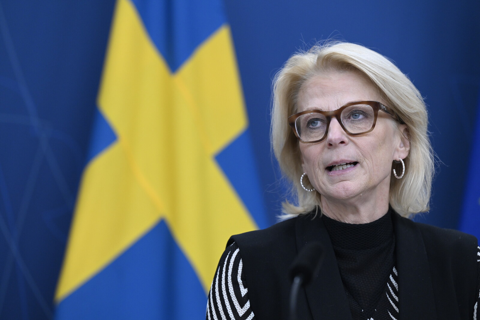 Minister pleased with authorities "stepping up" | Sweden Herald