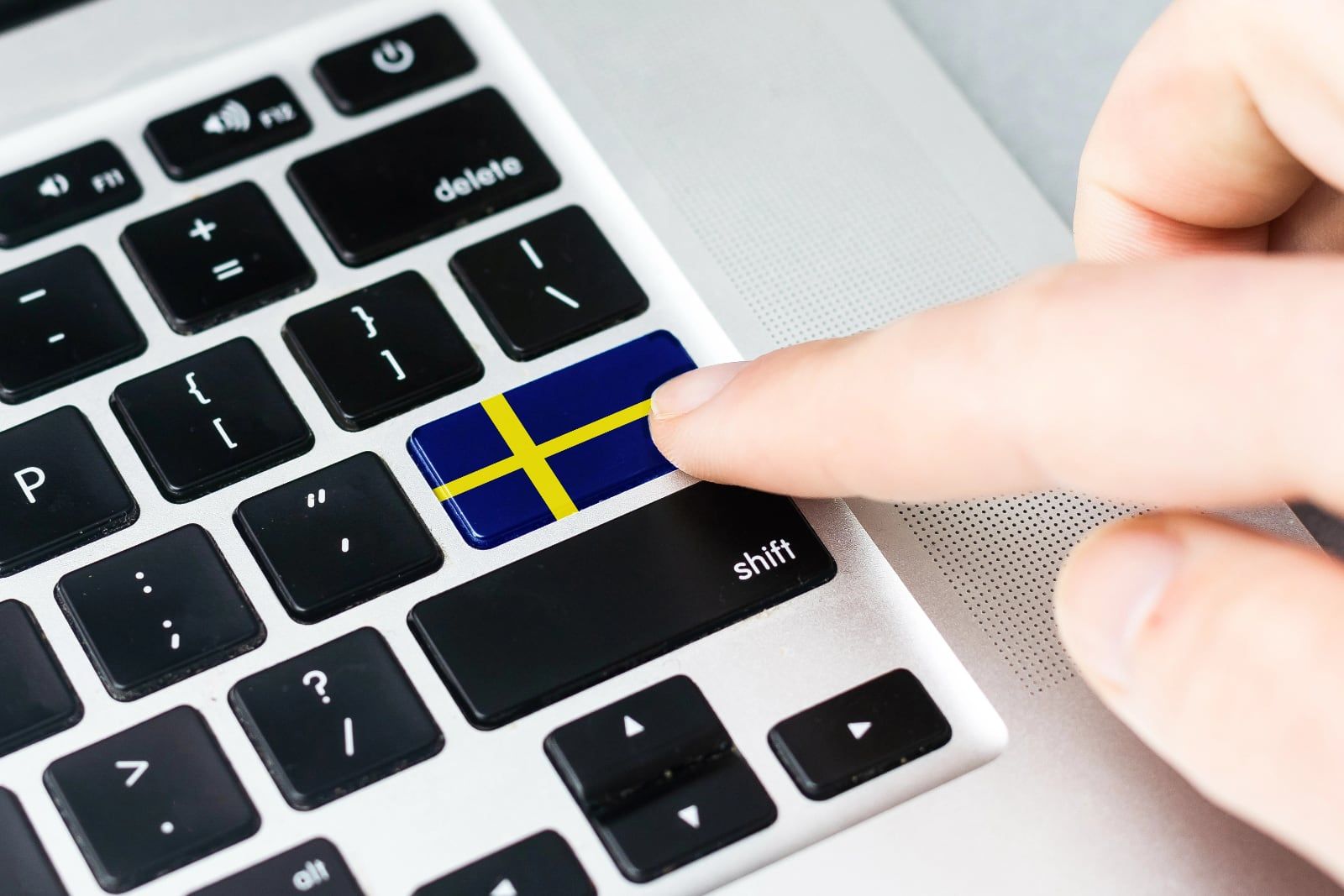 Sweden’s Privacy Paradox: Public Data That Criminals Can Exploit ...
