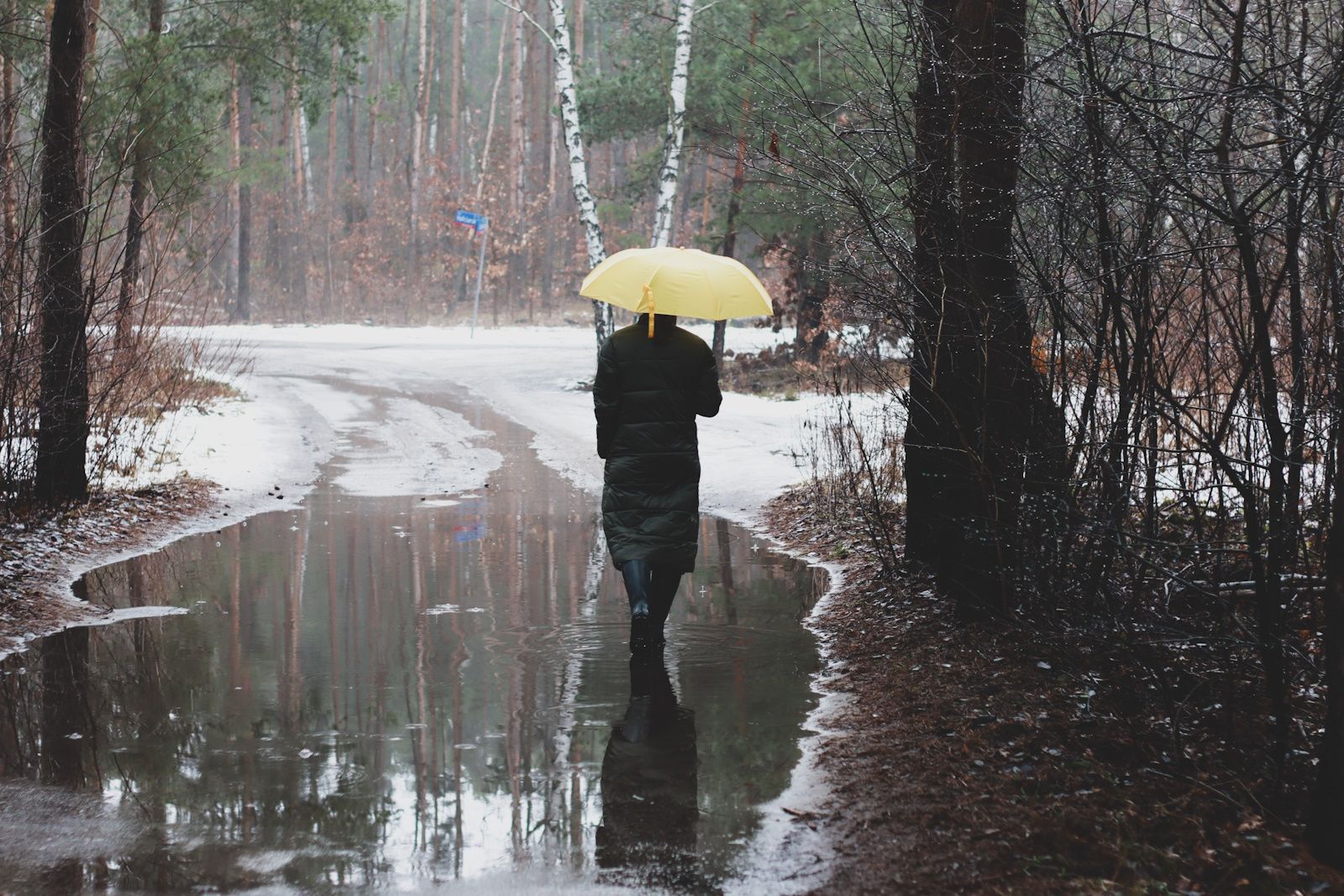 SMHI Measures Higher Temperatures and Climate Change | Sweden Herald