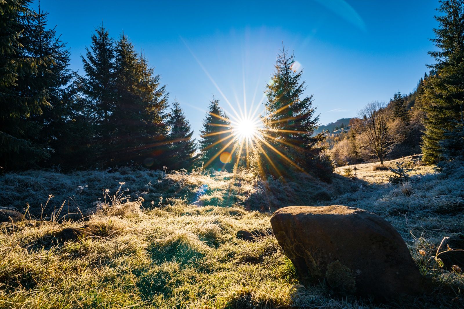 Why Swedes Are So Stressed About The Sun | Sweden Herald